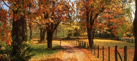 Visit West Virginia for Peak Foliage Season | Foliage.org